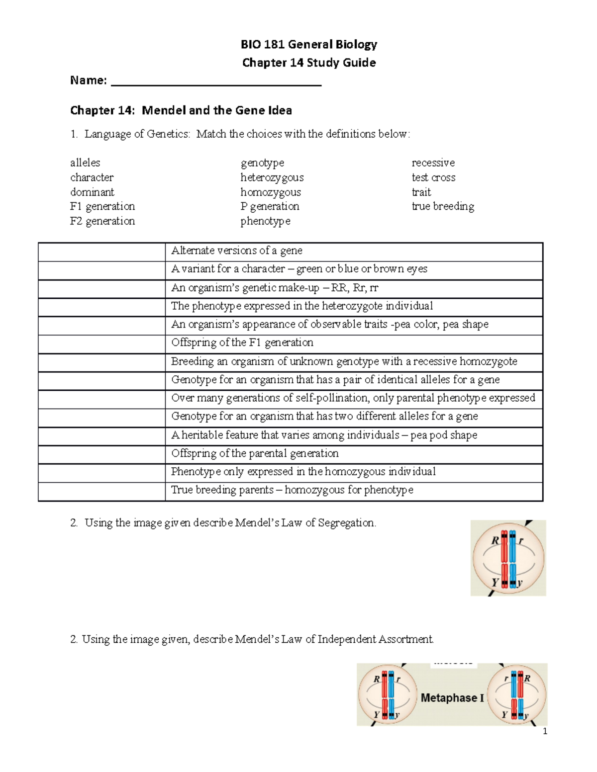 Chapter 14 BIO 181 Study Guide: Mendel & Genetic Concepts F23 - Studocu