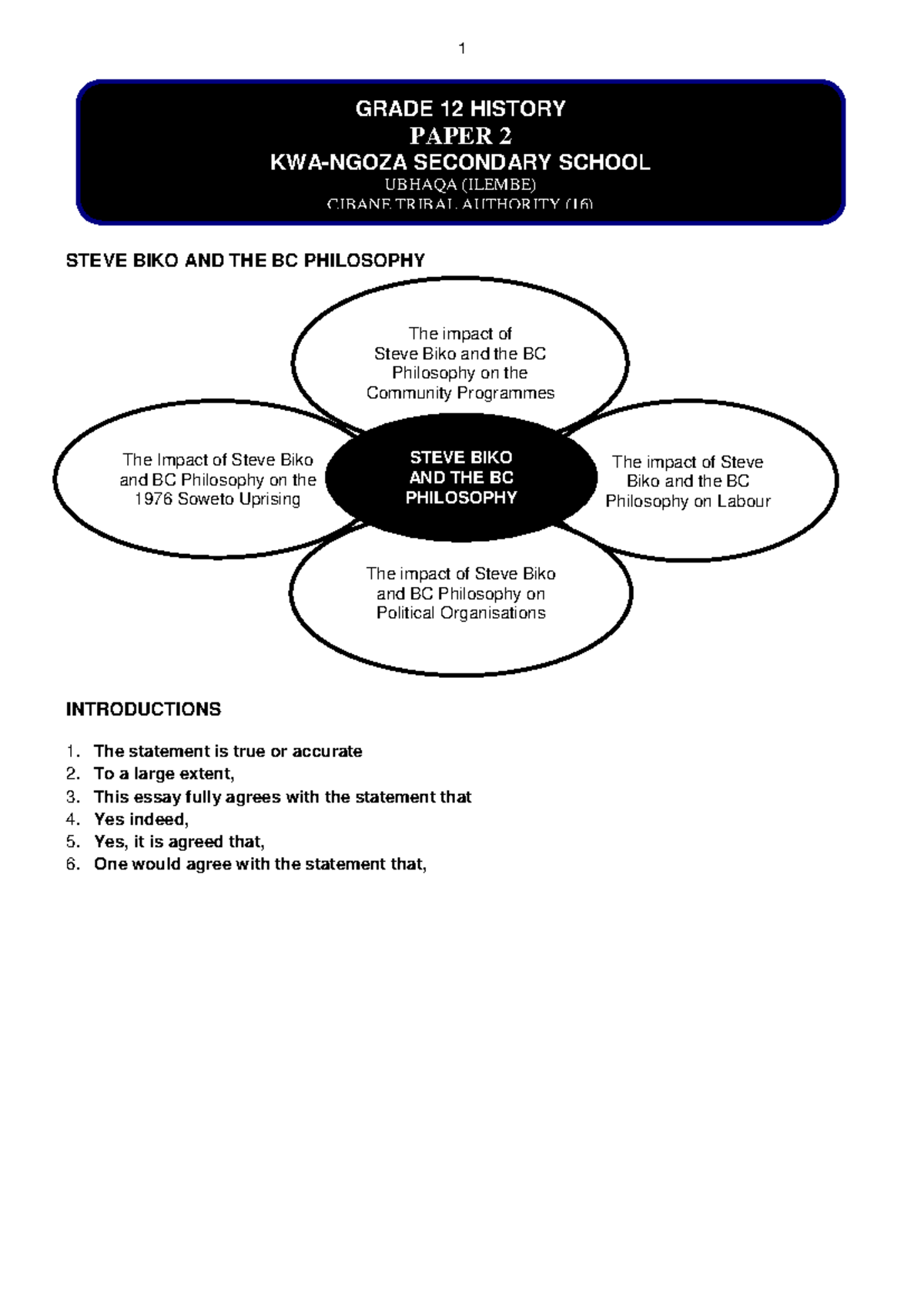 Grade 12 History P2 Study Notes: Steve Biko & BC Philosophy Impact ...