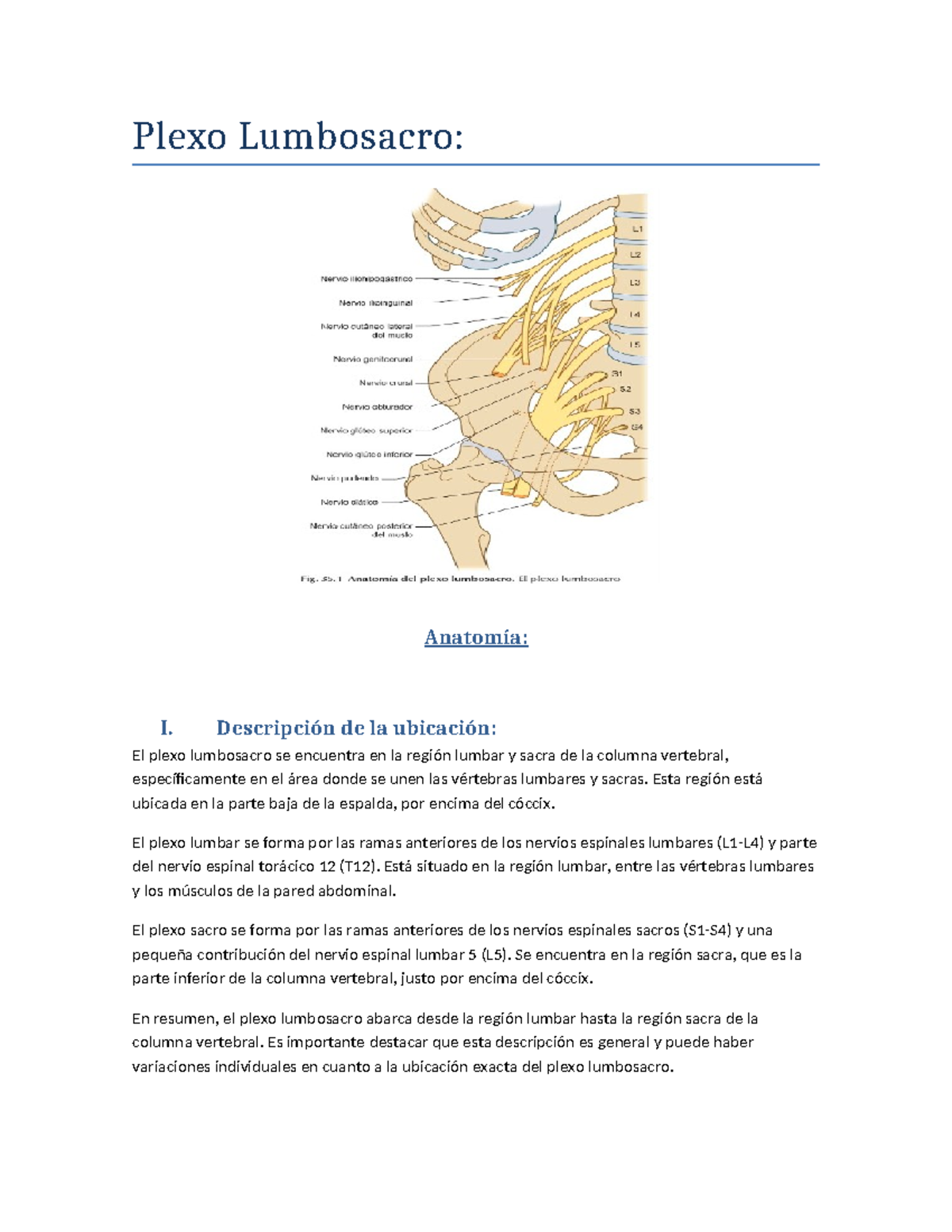 Resumen Anatomía del Plexo Lumbosacro: Funciones y Lesiones - Studocu