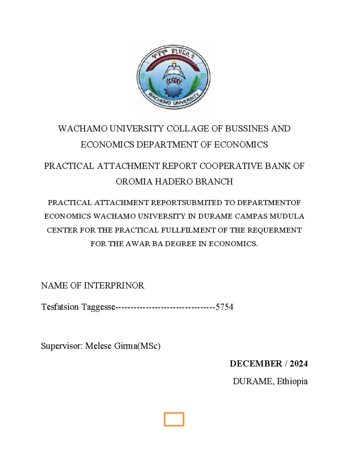 WACHAMO UNIVERSITY ECONOMICS DEPT. PRACTICAL ATTACHMENT REPORT - NIB ...