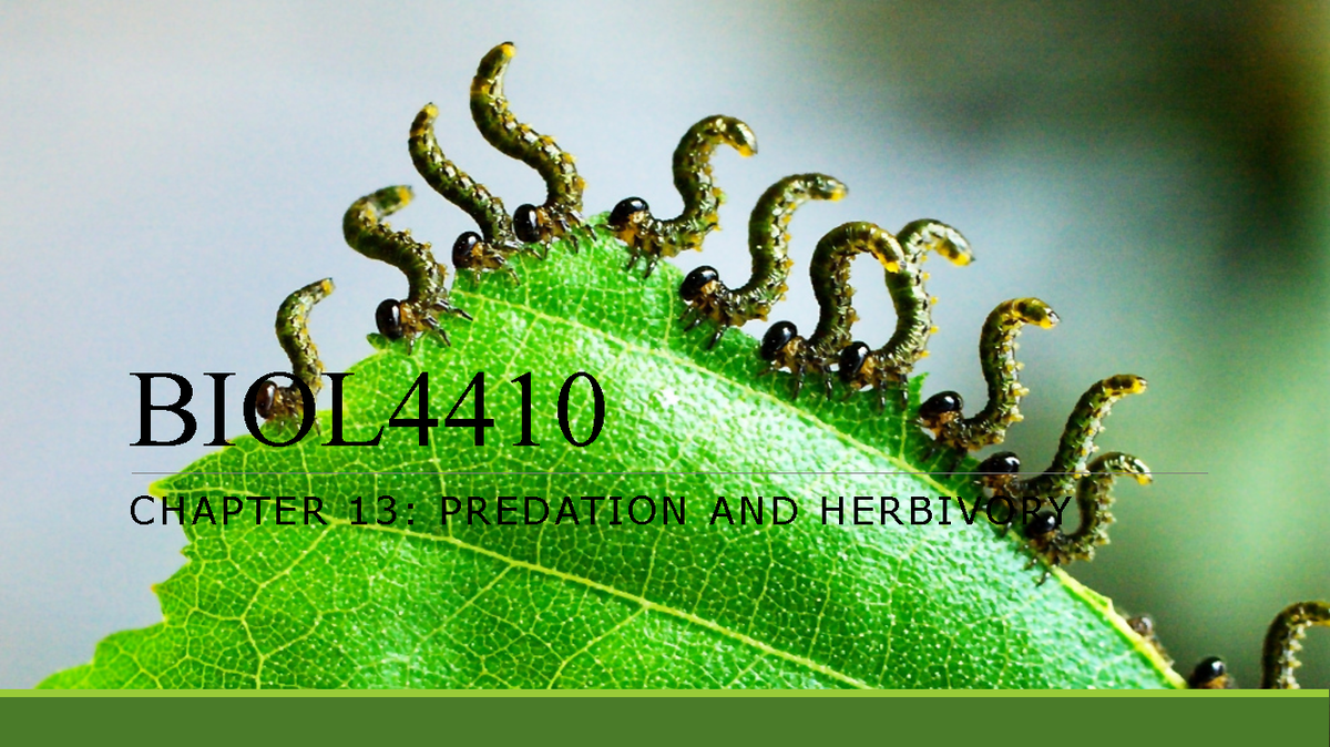 BIOL4410 Chapter 13: Overview of Predation and Herbivory Dynamics ...