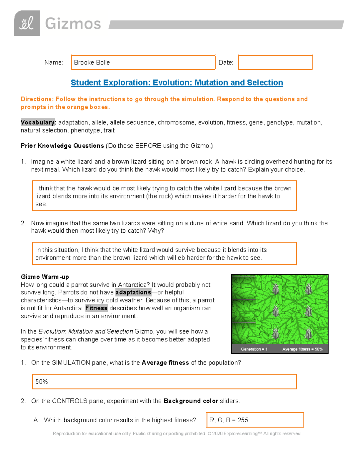 Copy of Student Exploration: Evolution Mutation & Selection SE - Studocu