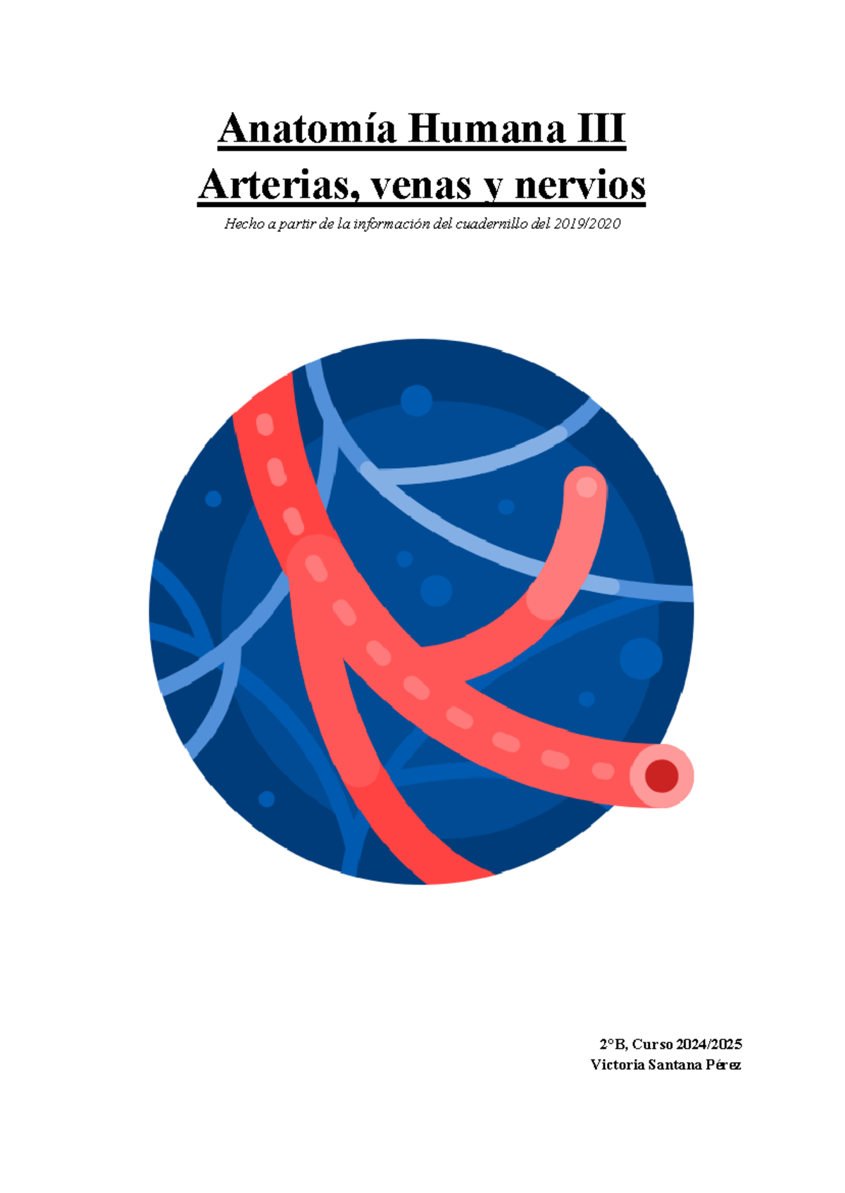 Anato III: Vascularización e Inervación de Arterias, Venas y Nervios ...