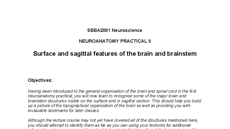 5BBA2081 Neuroscience NEUROANATOMY PRACTICAL II: Brain & Brainstem ...