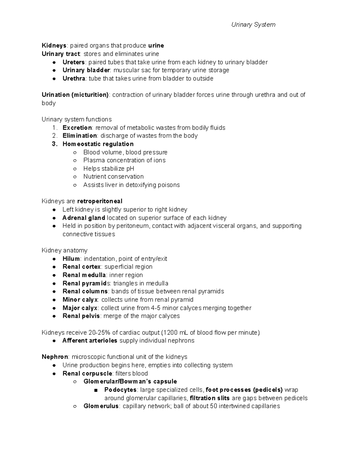Urinary System Anatomy & Functions: Key Concepts Overview (BIO 101 ...