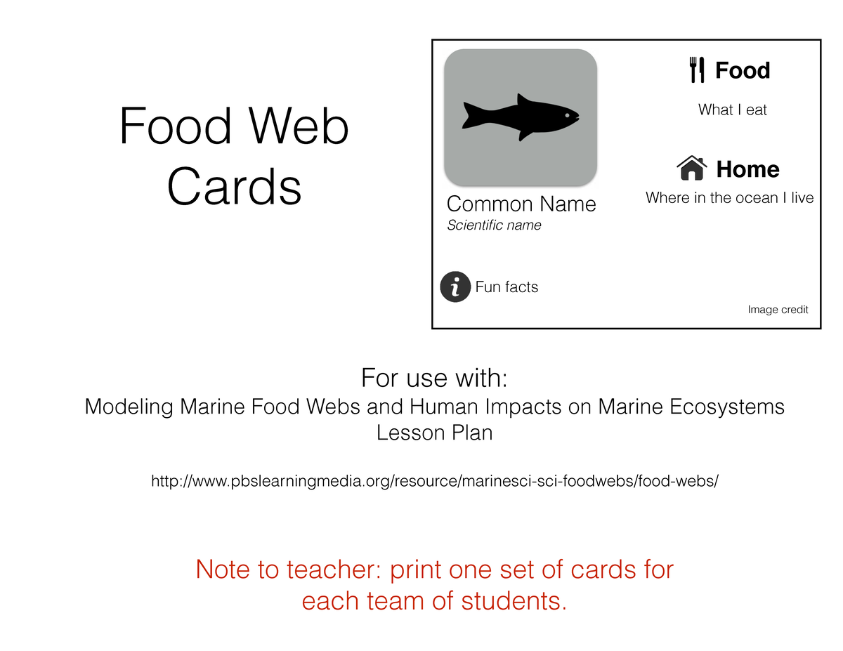 Modeling Marine Food Webs: Food Web Cards 2 Lesson Plan - Studocu