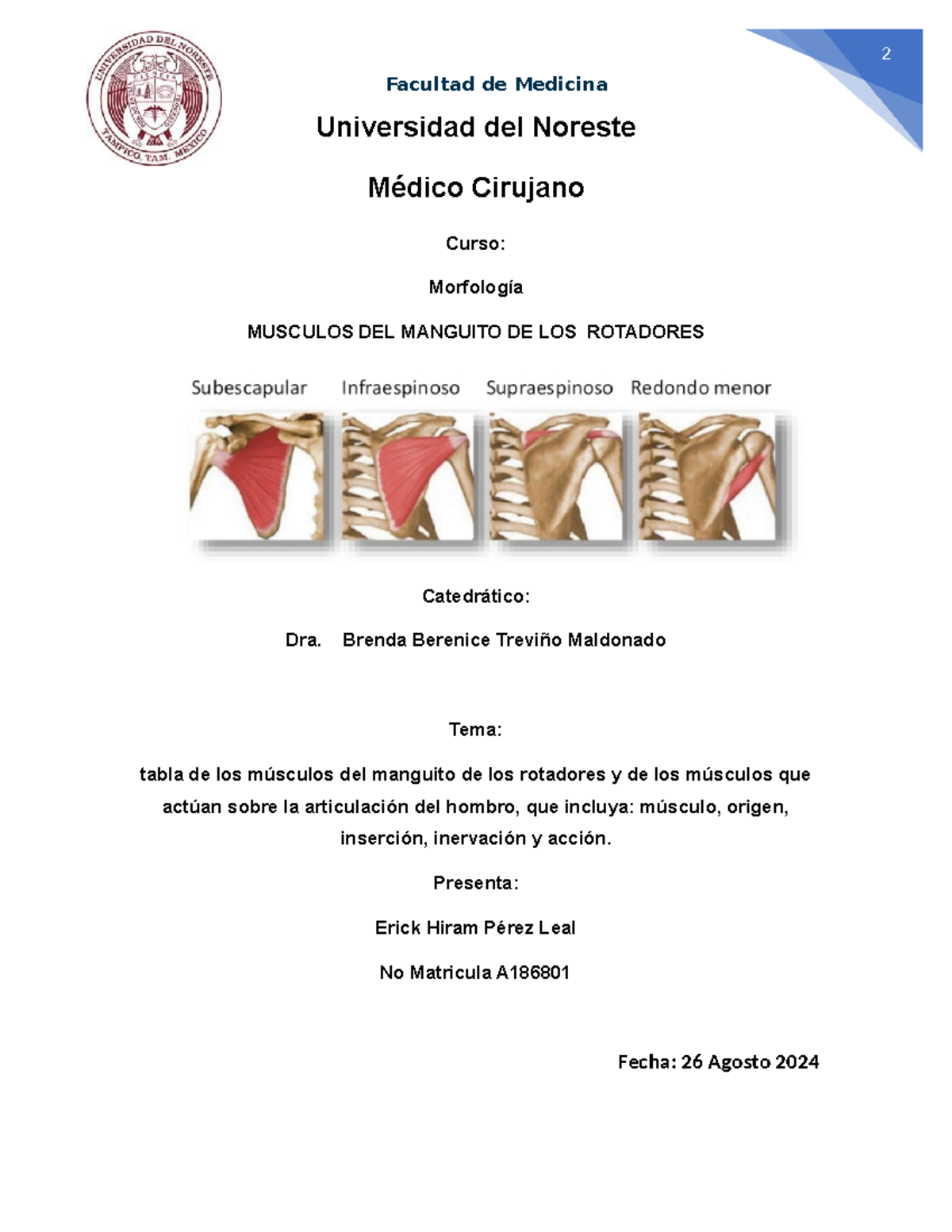 Músculos manguitos de los rotadores - Facultad de Medicina Universidad ...