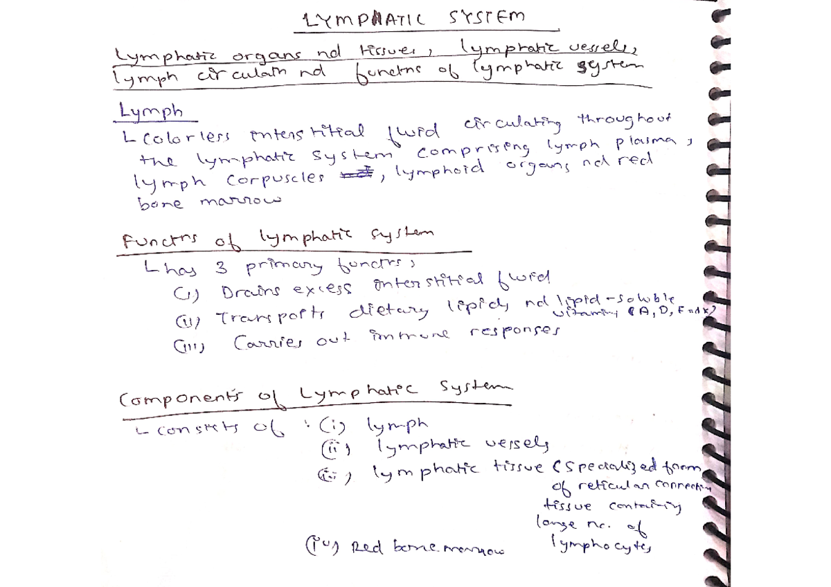 Lymphatic System Notes: Functions, Components, and Key Organs - Studocu