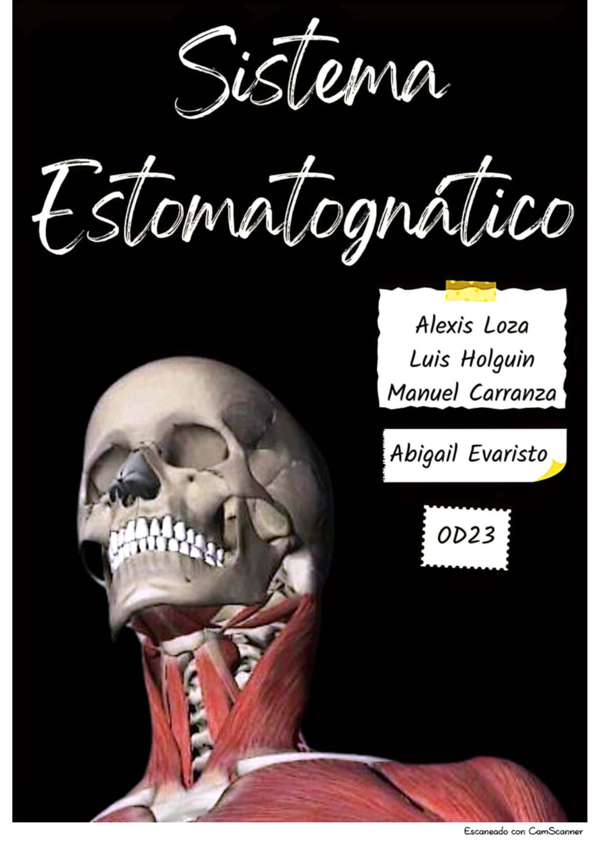 Nomenclatura Dental: Sistemas Zsigmondi y Haderup en Odontología - Studocu