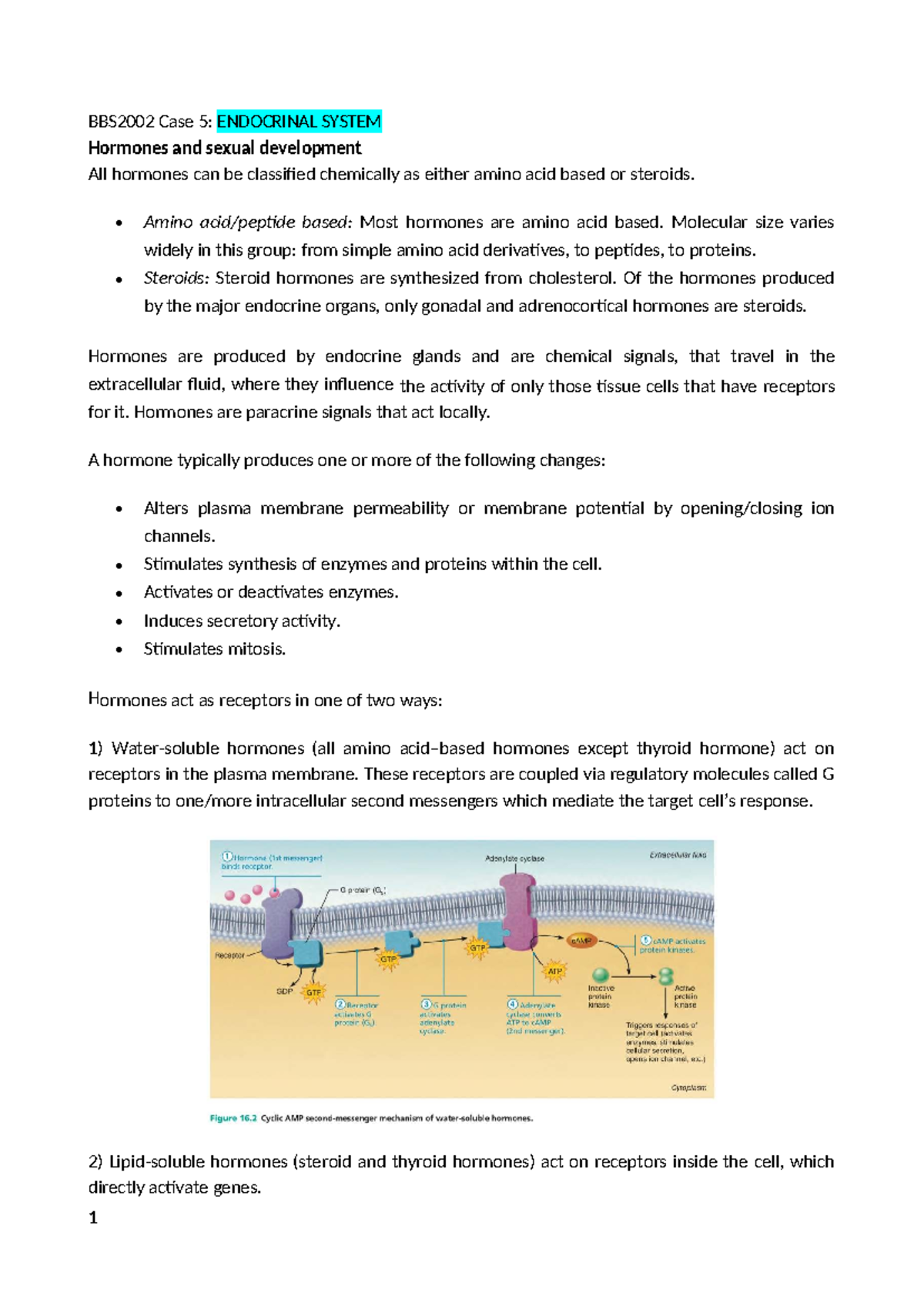 BBS2002 Case 5: Endocrine System and Hormonal Influence on Sexual ...