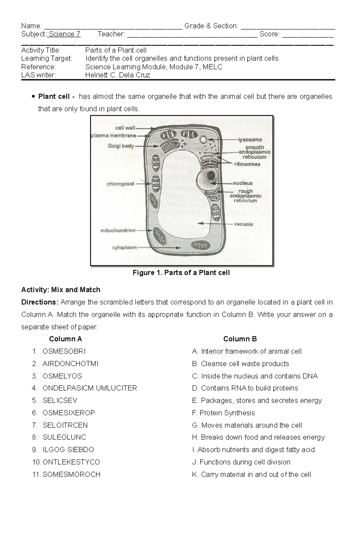 Science 7 Q2 Wk4 LAS2 - Parts of a Plant Cell Learning Activities Sheet ...