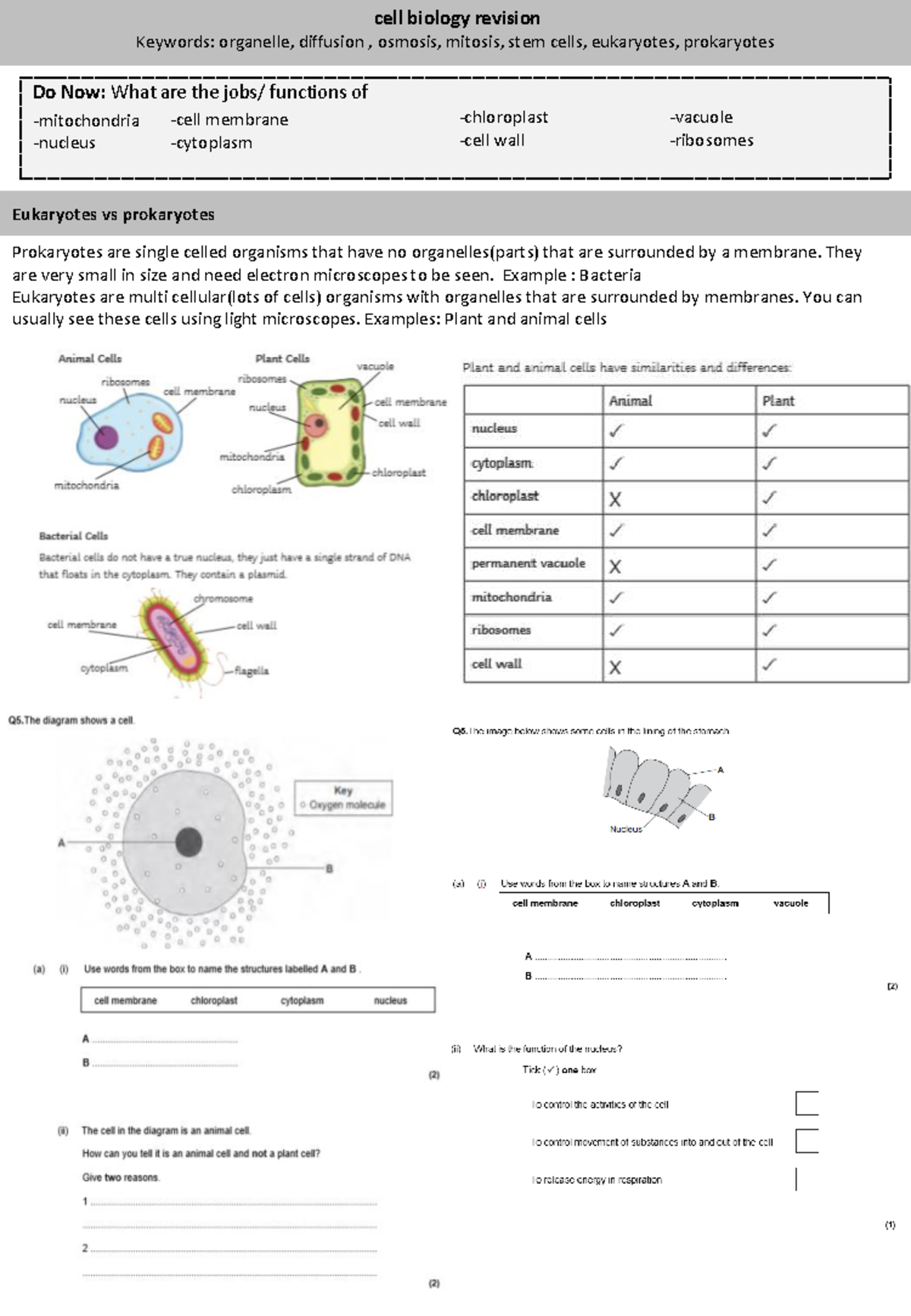 Biology Paper 1 Revision Booklet: Cell & Organism Functions - Studocu