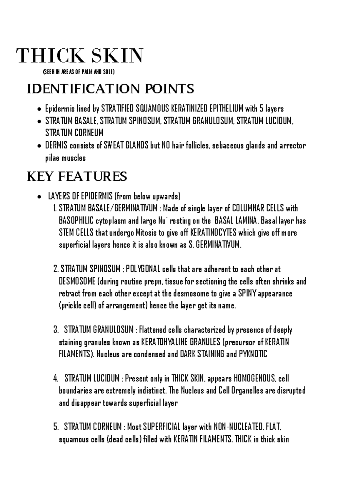 Thick Skin Histology Identification Points