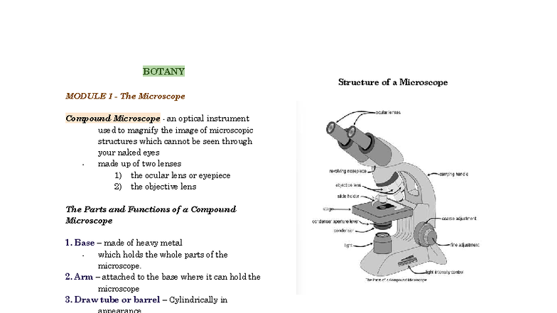 Botany Midterm Exam (LAB): Structure and Functions of Microscopes - Studocu