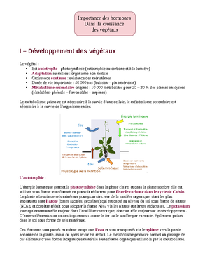 Paroi L1 - spe vegetale - La paroi des cellules végétales I ...