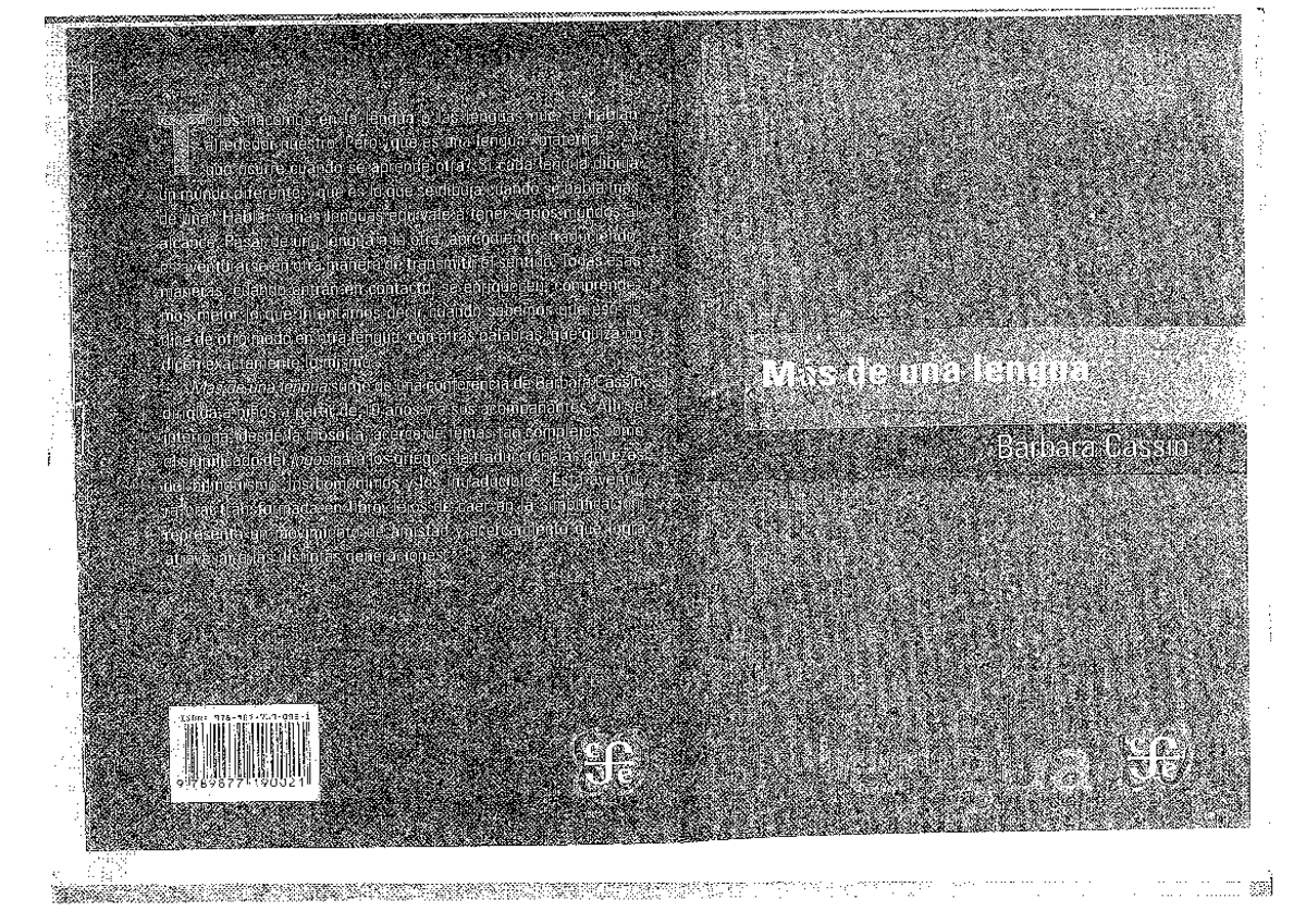 Más de una lengua: Reflexiones sobre el Bilingüismo y la Traducción ...