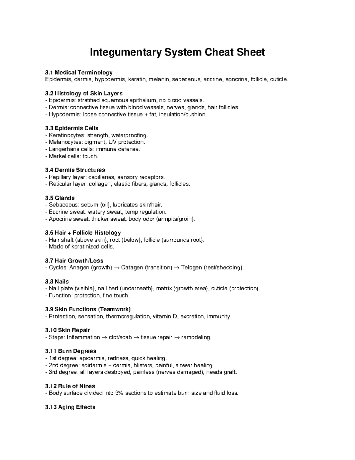 Integumentary System Cheat Sheet: Key Terms & Concepts (Bio 101) - Studocu