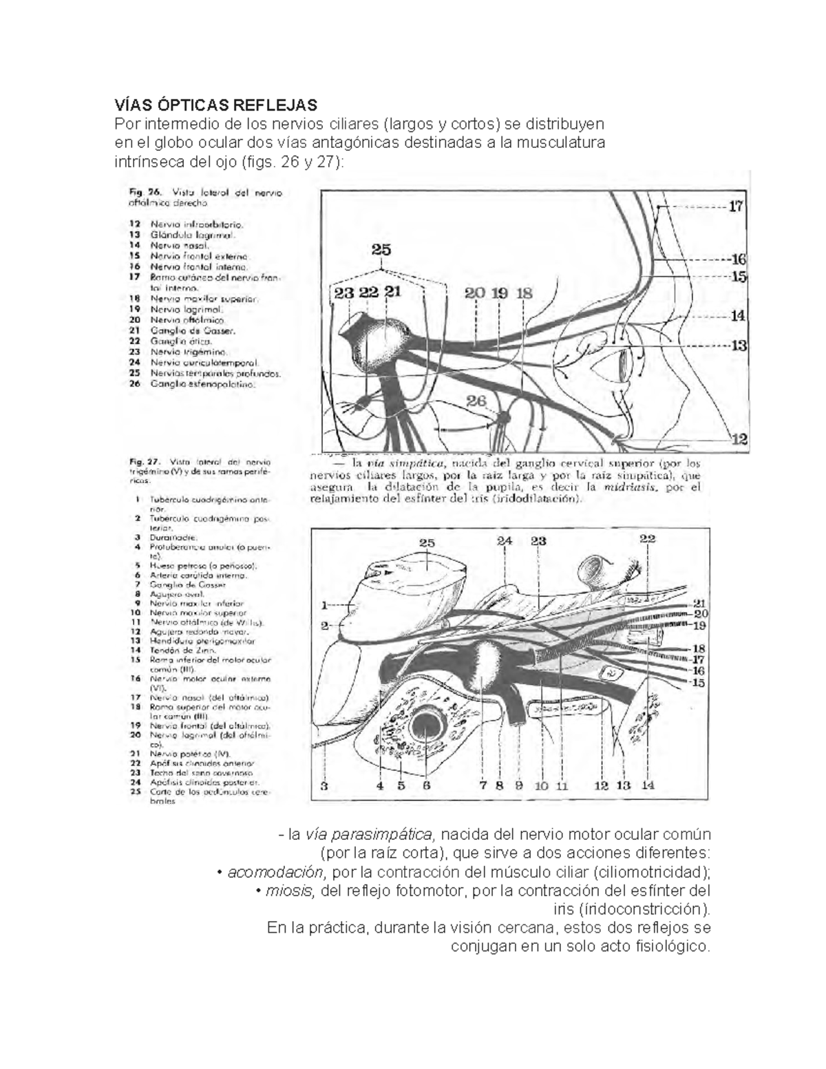 VÍAS ÓPTICAS REFLEJAS: Inervación y Funciones del Nervio Oculomotor ...
