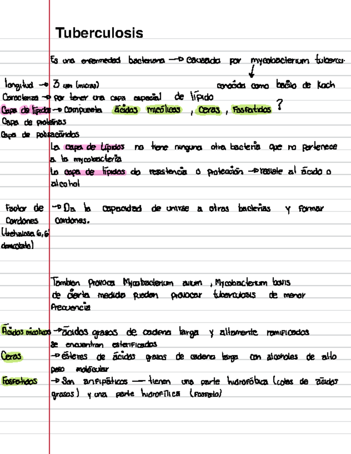 Estudio de Mycobacterium tuberculosis: Aspectos clave y tratamiento ...