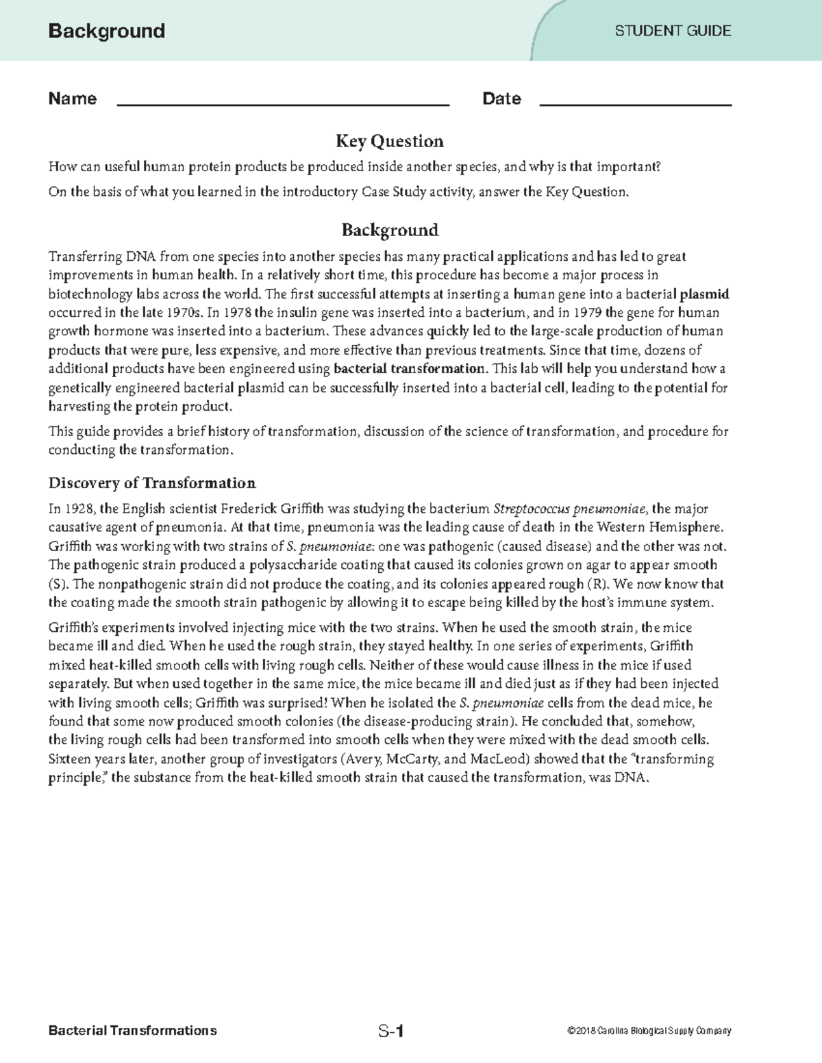 Bacterial Transformation Lab: Understanding Plasmid Insertion (Pages 21 ...