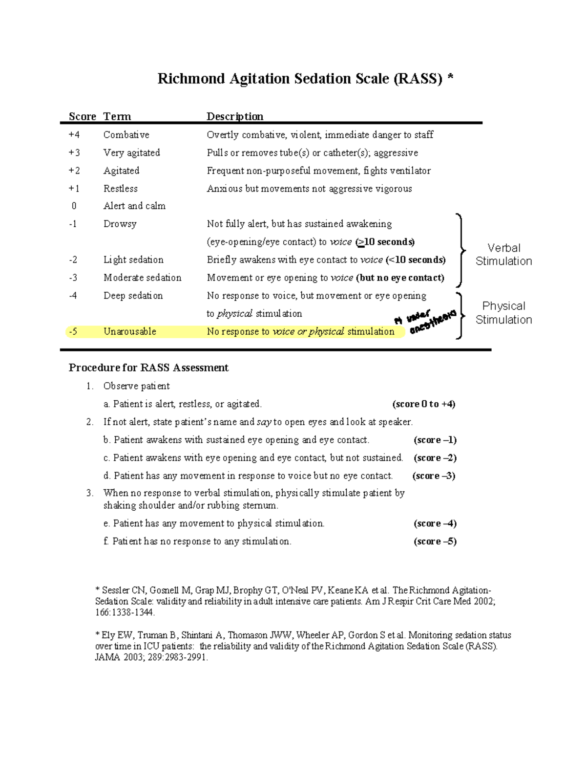 Richmond Agitation Sedation Scale (RASS) Care Plan Overview - Studocu