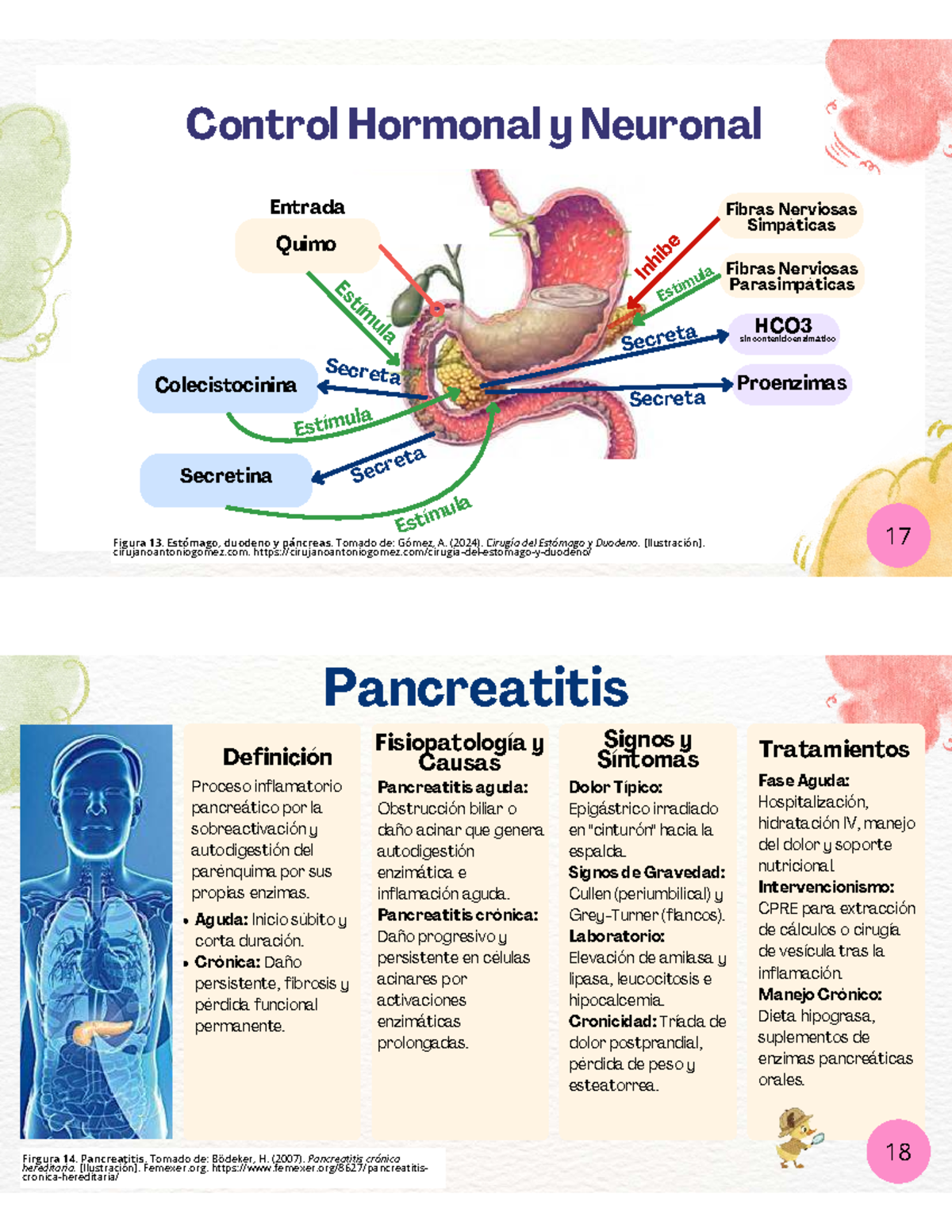 Control Hormonal y Neuronal en Pancreatitis: Definición y Tratamientos ...