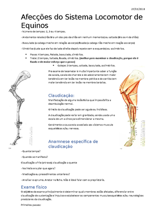 Digestório de equino - Aula completada - SISTEMA DIGESTIVO DO EQUINO ...