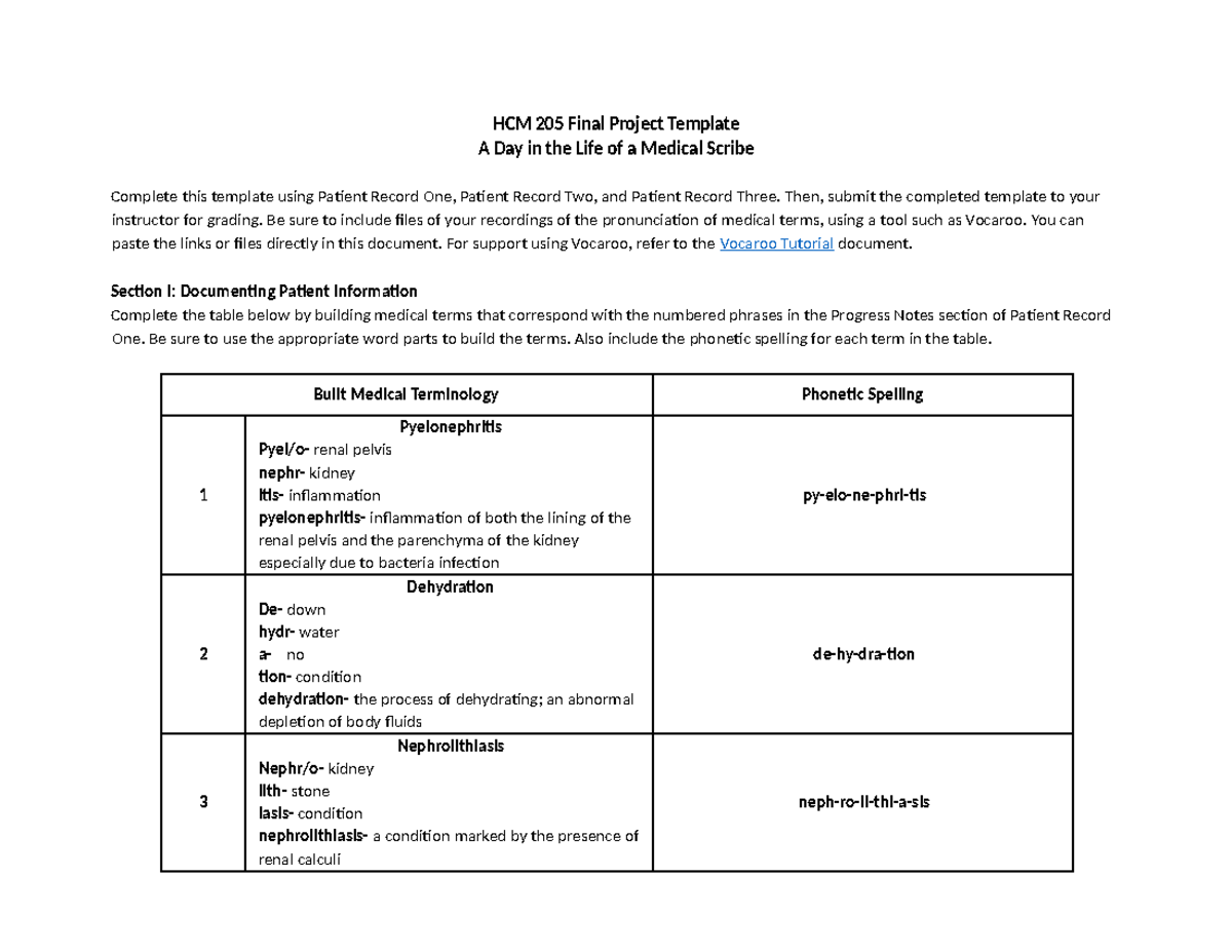 HCM 205 Final Project Template: Medical Scribe Documentation Guide ...