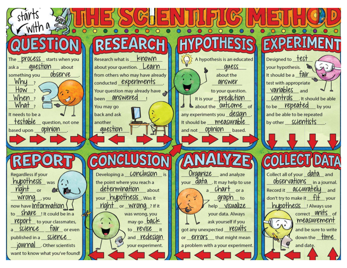 The Scientific Method: Doodle Notes Overview (METHO) - Studocu