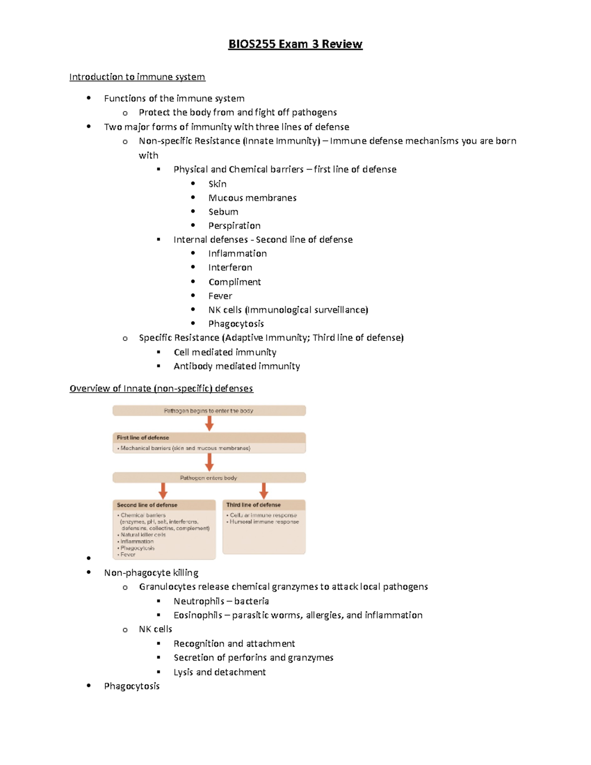 BIOS255 Exam 3 Review: Immune & Respiratory System Insights - Studocu
