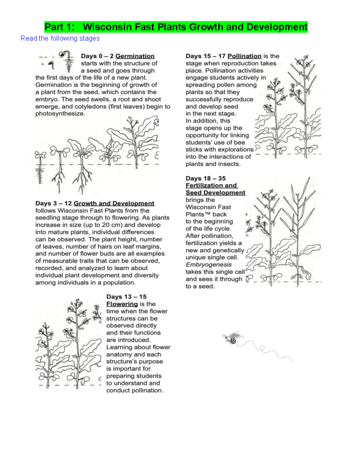 Fast plants development and check - Part 1 : Wisconsin Fast Plants ...