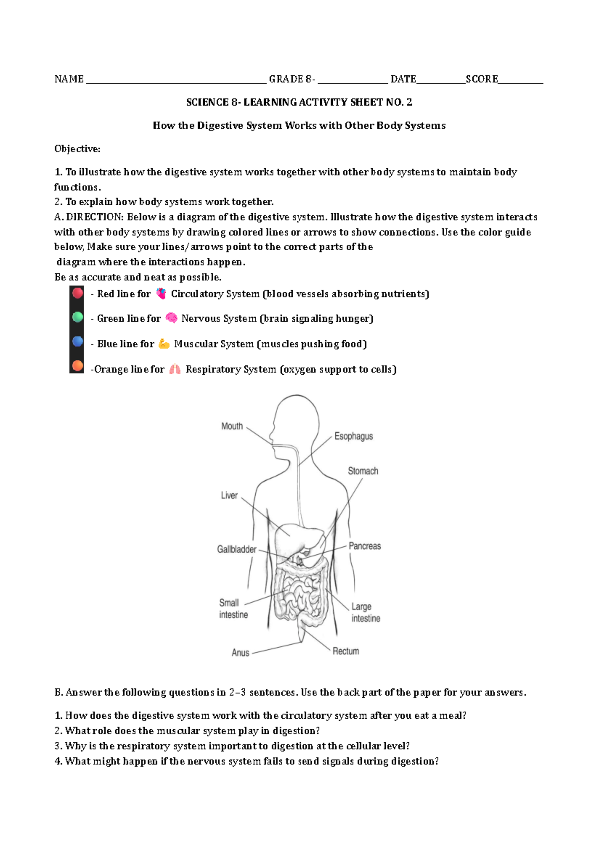 LAS-WS-NO-2: Understanding Digestive System Interactions with Body ...