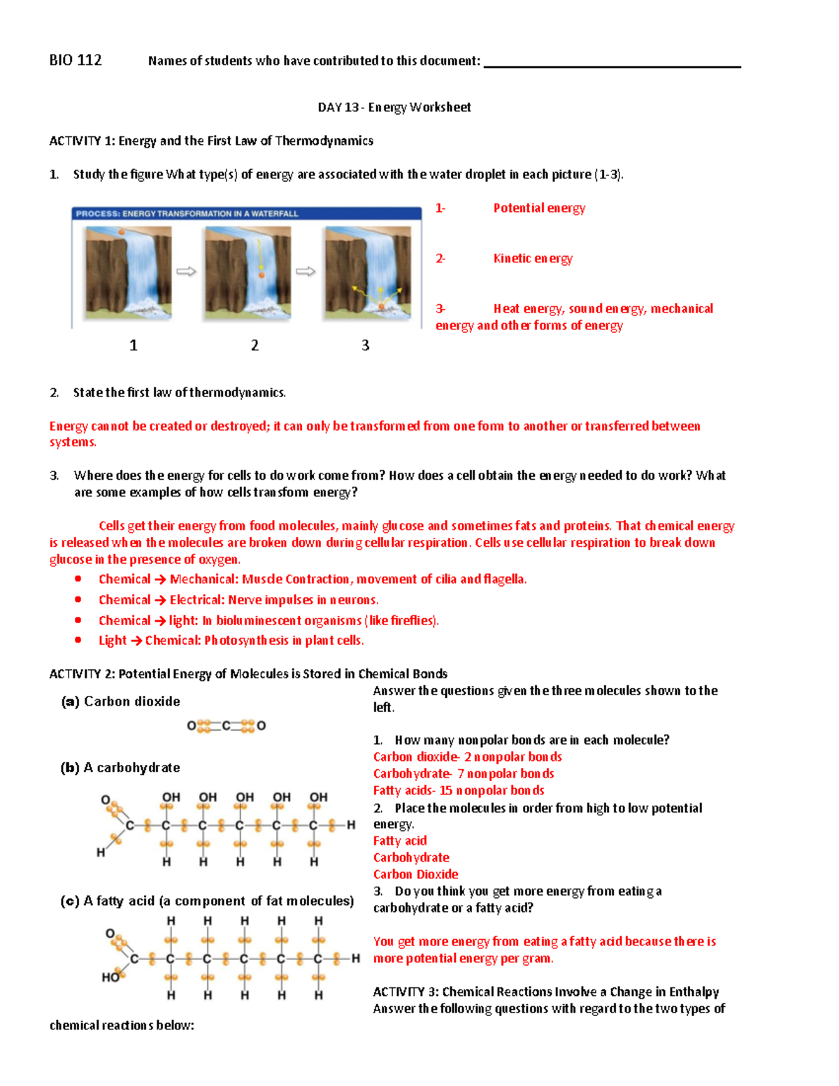 BIO 112 Final Exam Review: Energy Concepts & Thermodynamics - Studocu