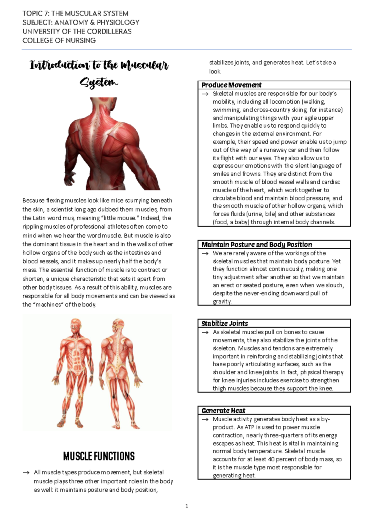 Topic 7 Introduction to the Muscular System - Introduction to the ...