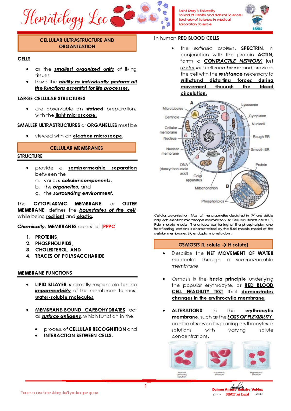 MNEMONICS for Medical Laboratory Science: RBC Structure & Function (MLS ...