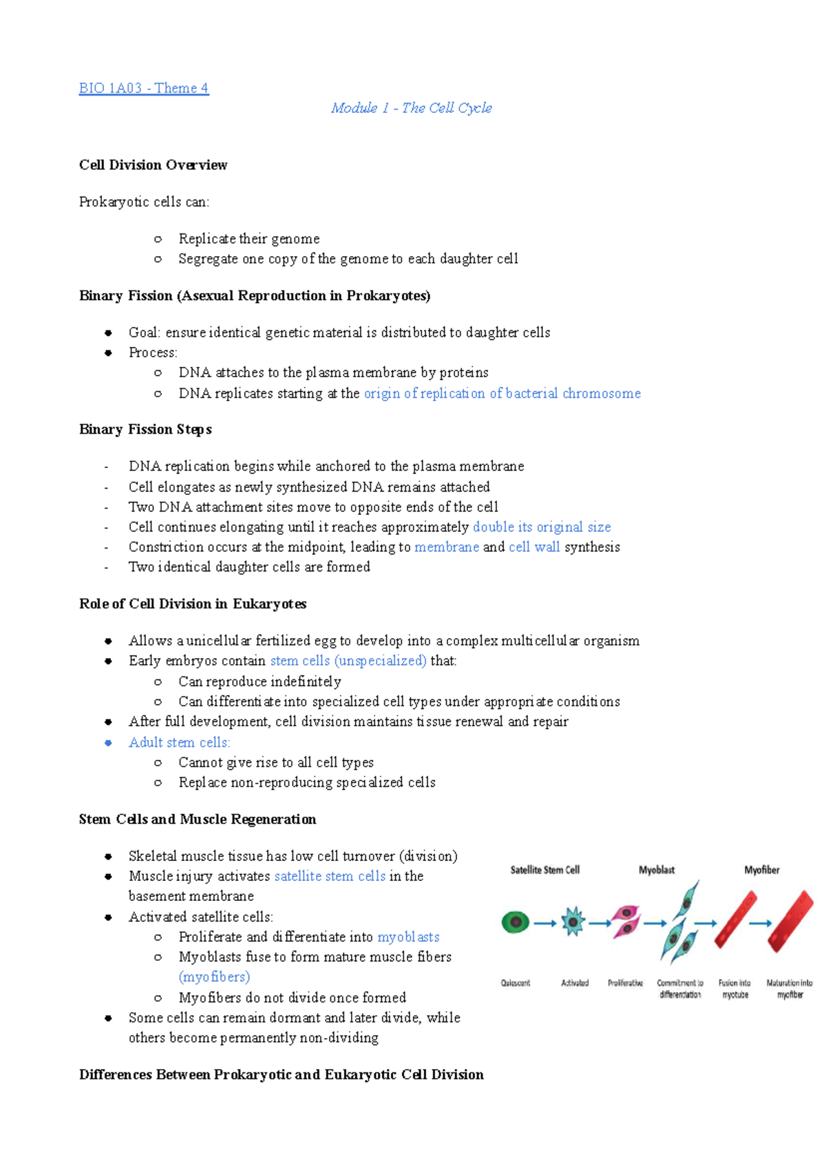 BIO 1A03 - Theme 4: The Cell Cycle and Cell Division Overview - Studocu