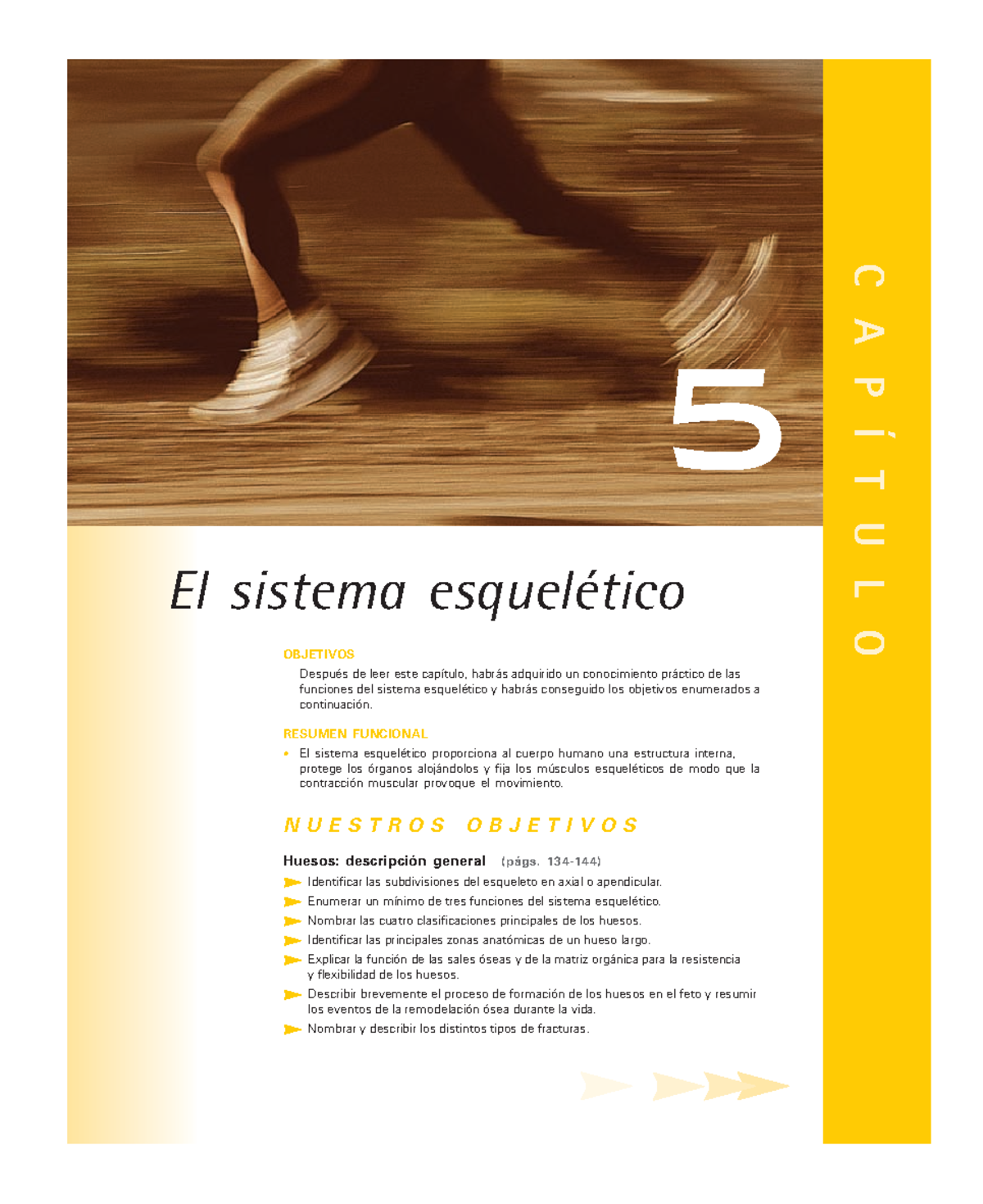 Anatomia y Fisiologia Humana Capitulo 5 - Sistema Esqueletico ...