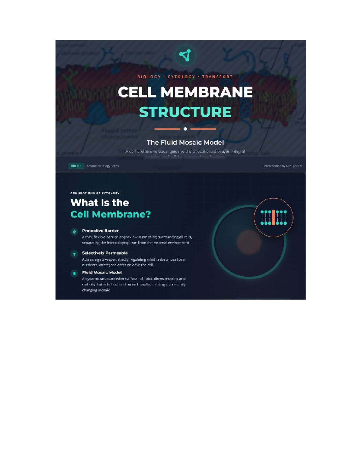 BIO 101 Cell Membrane Structure: Fluid Mosaic Model Overview - Studocu