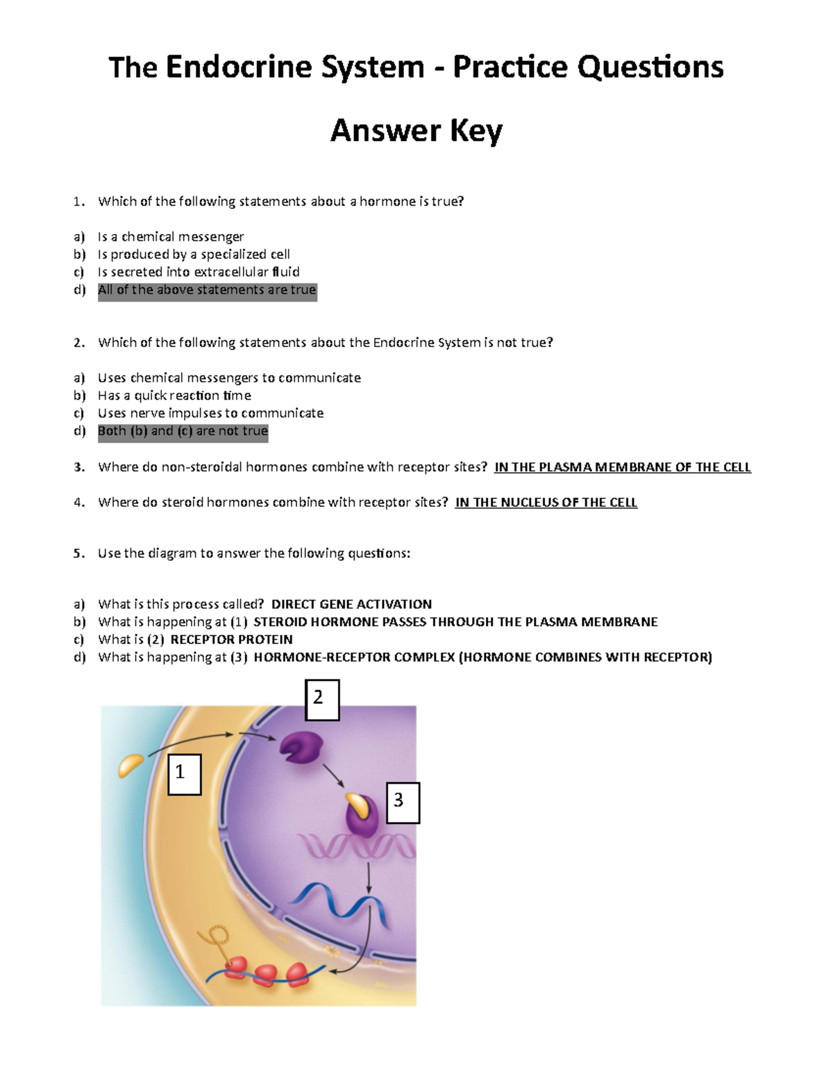 The Endocrine System Practice Questions AK PNG 121 - The Endocrine ...
