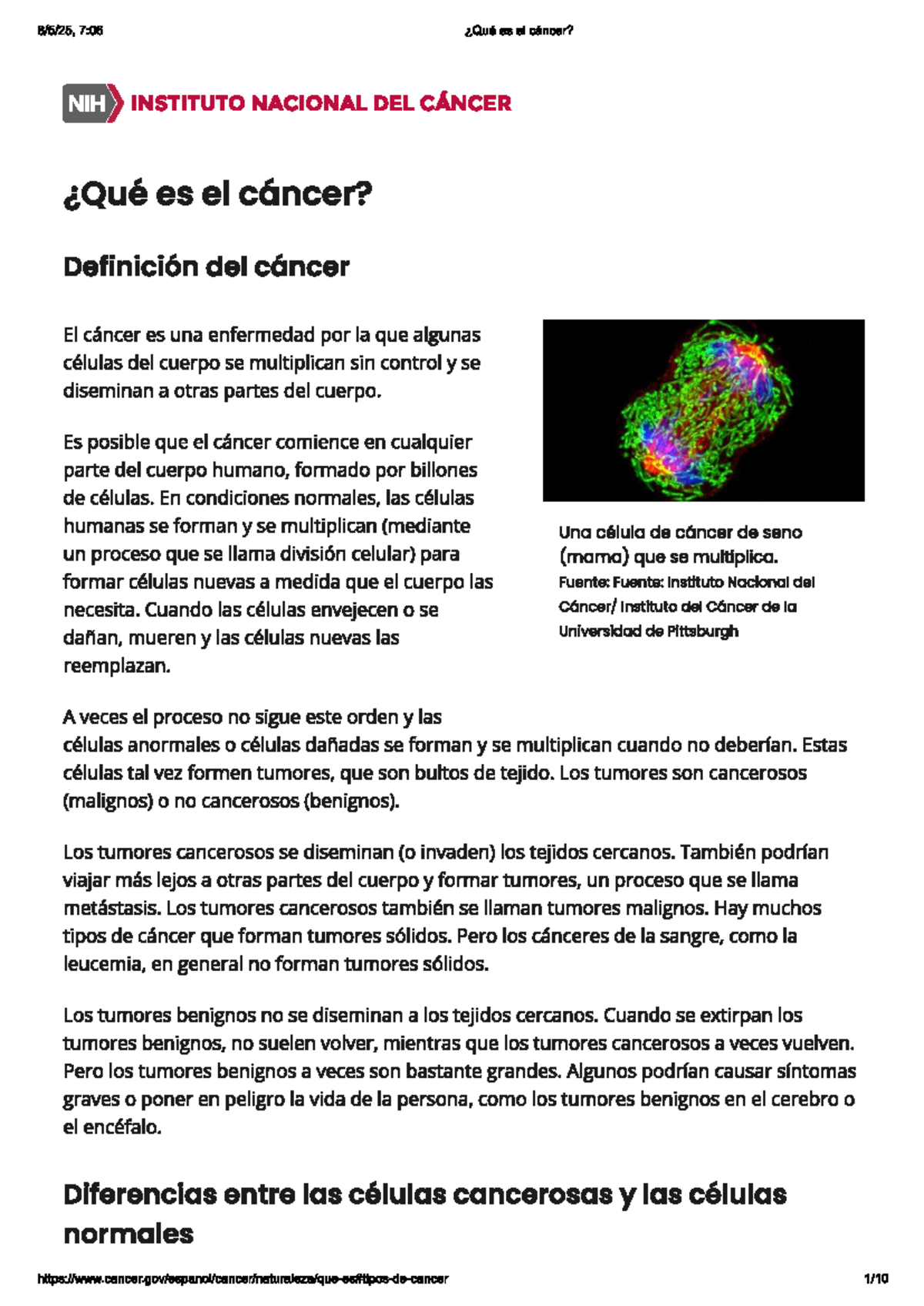 Cáncer y Tipos de Cáncer: Definición y Características - Studocu