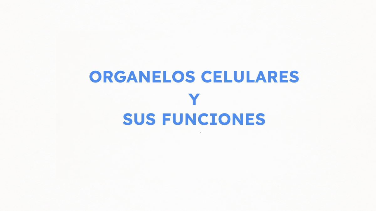 Organelos Celulares y sus Funciones - Clase de Biología - Studocu