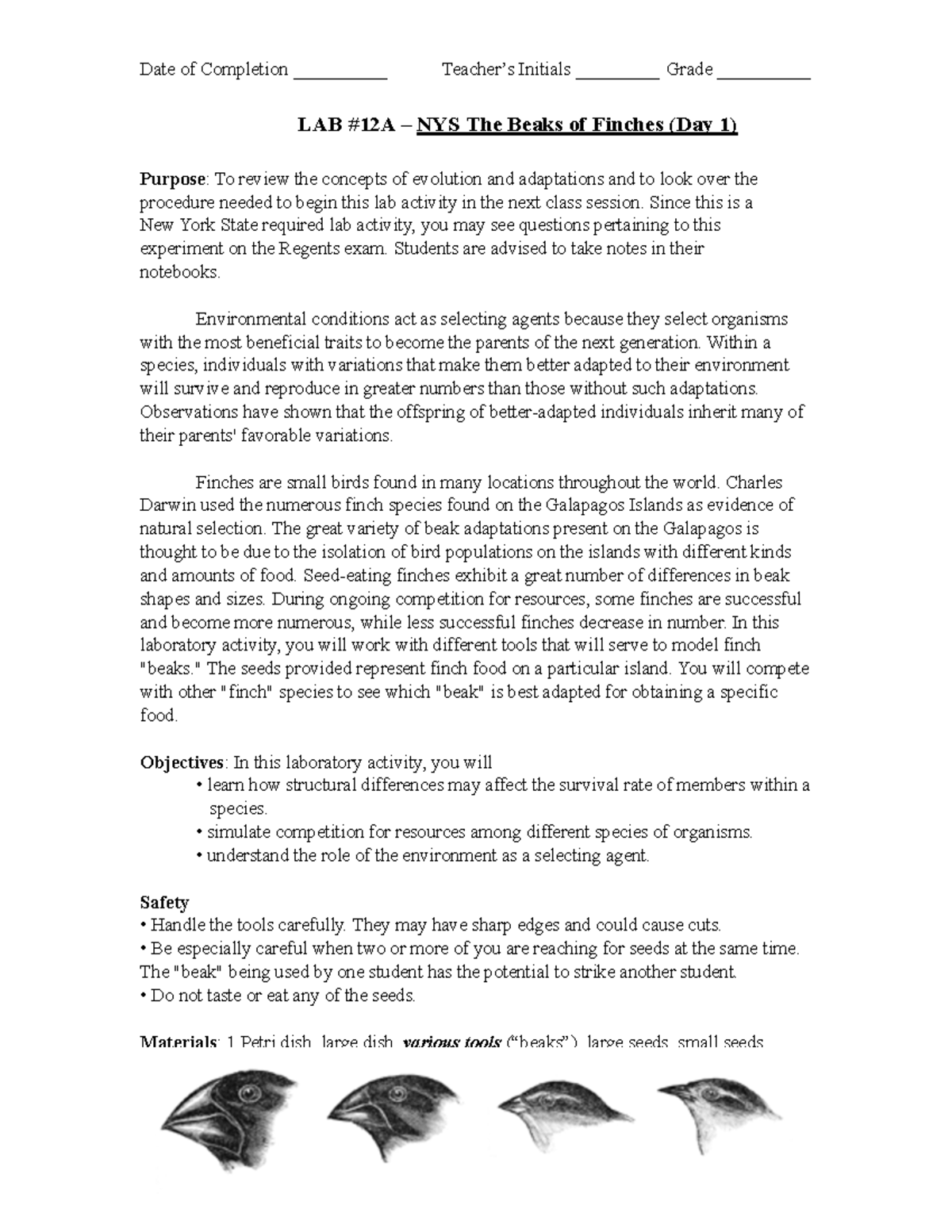 Beaks of Finches Lab Report - NYS Lab #12A - Studocu
