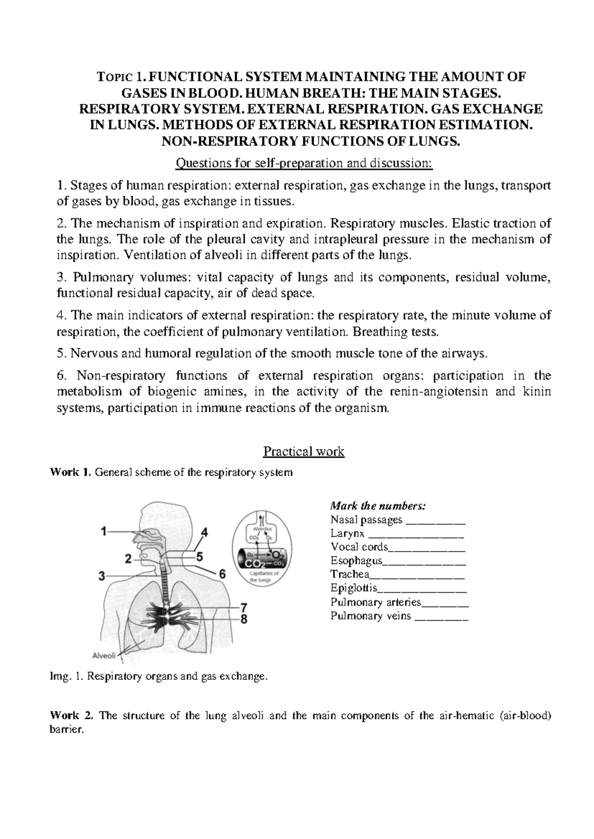Physio 19: Functional Systems of Human Respiration and Gas Exchange ...