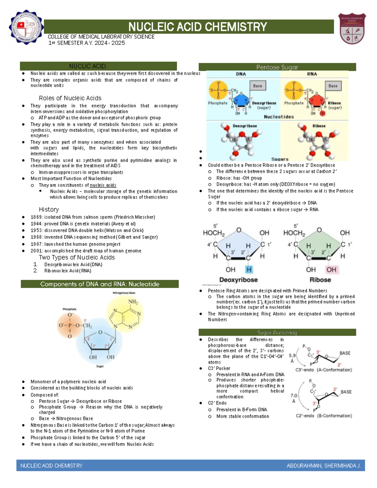 Nucleic Acid Chemistry - 1st Sem A. 2024-2025 Lecture Notes - Studocu