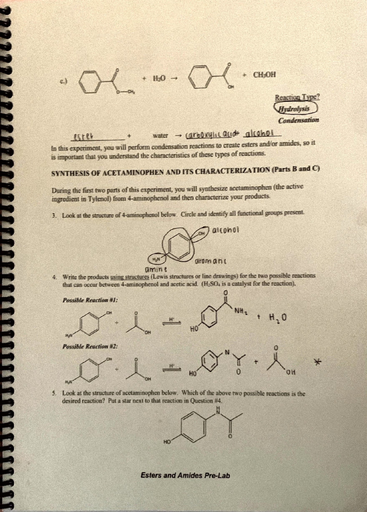 Lab 5: Synthesis of Esters and Amides in Organic Chemistry - Studocu