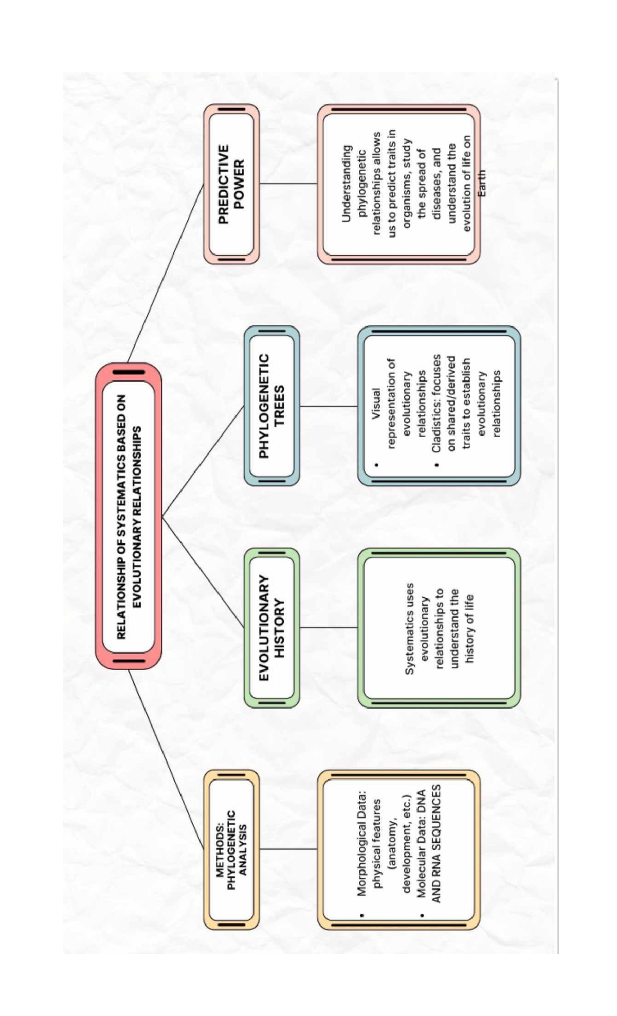 Concept map - none - RELATIONSHIP OF SYSTEMATICS BASED ON EVOLUTIONARY ...