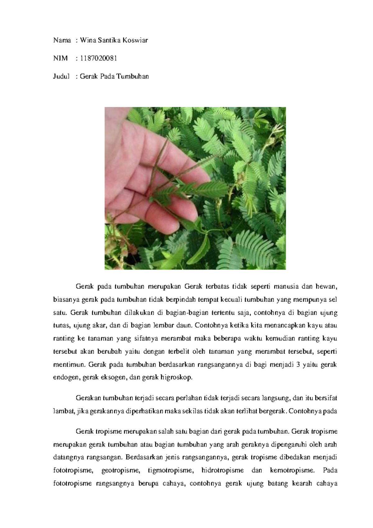 Gerak Tumbuhan: Jenis-jenis dan Contoh Tindakan (Biologi 101) - Studocu