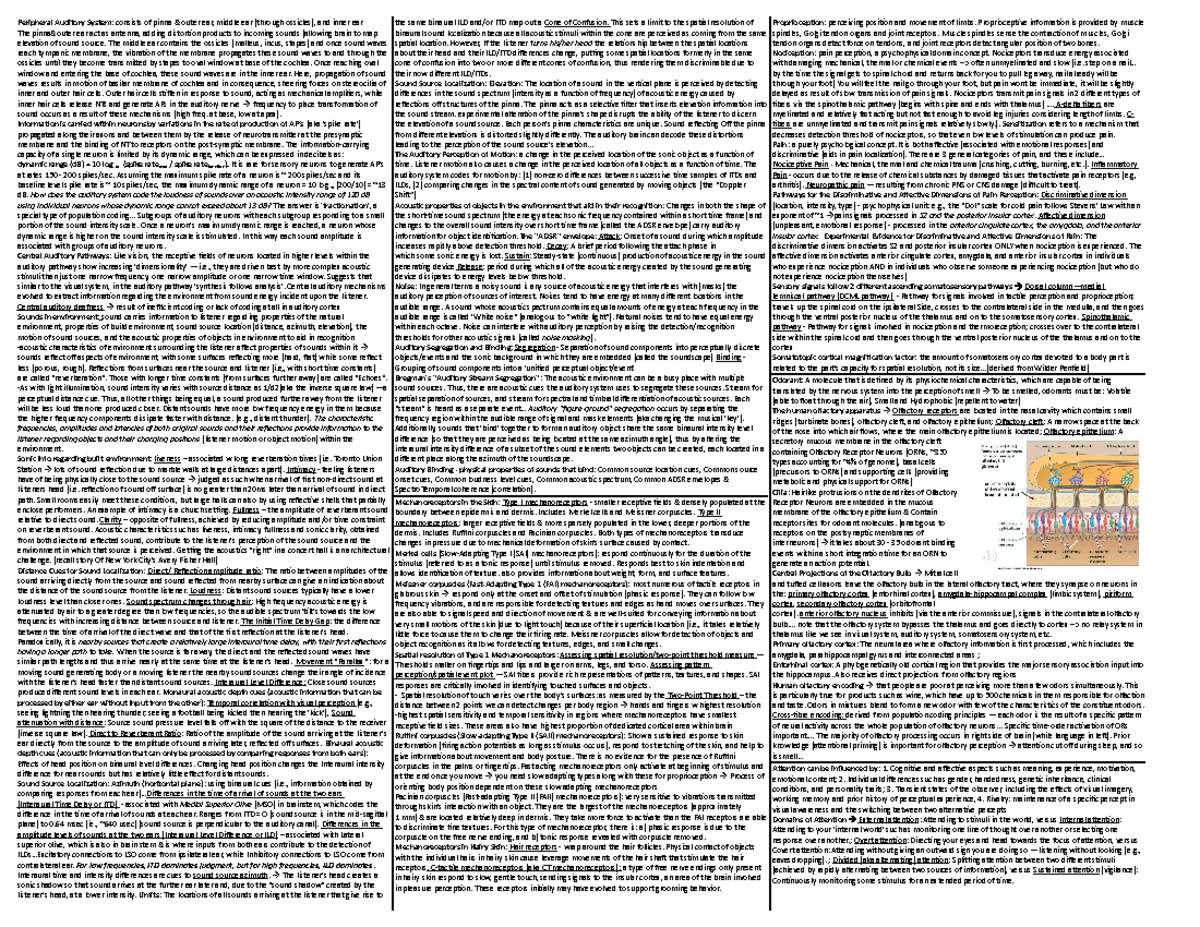 Peripheral Auditory System & Mechanoreceptors: Cheat Sheet for PSY 301 ...