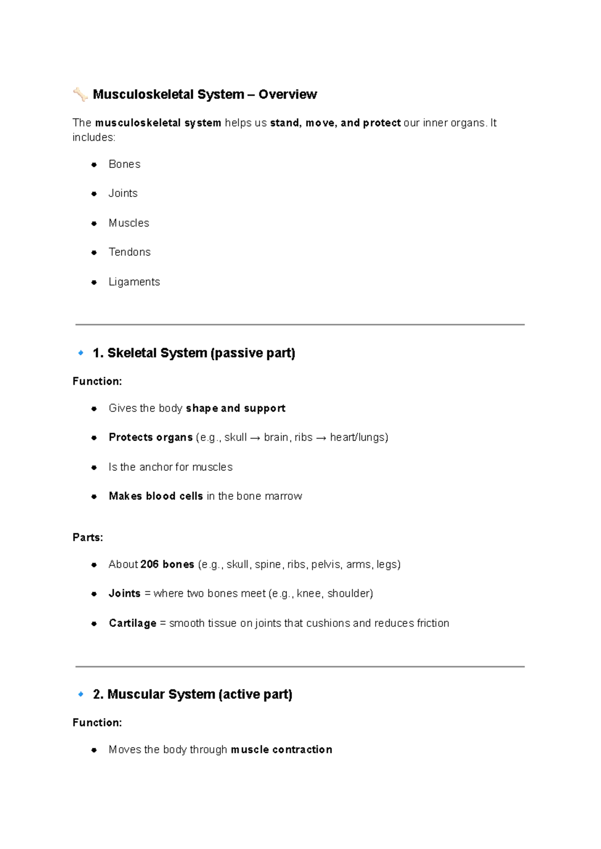 Musculoskeletal System Overview: Structure & Function - Studocu