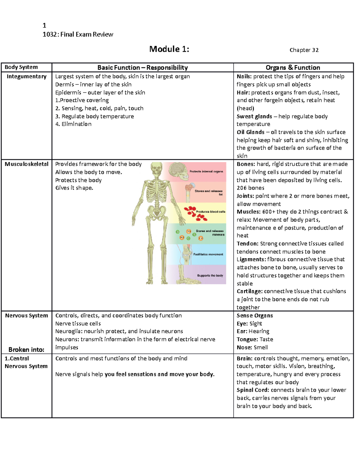 1032 - Comprehensive Final Exam Review on Body Systems and Development ...